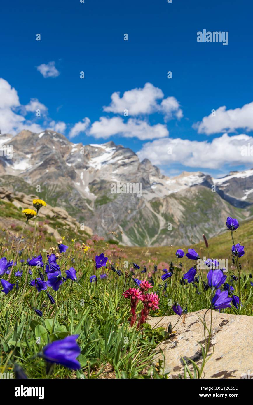 Landscape near Col de l'Iseran, Savoy, France Stock Photo - Alamy