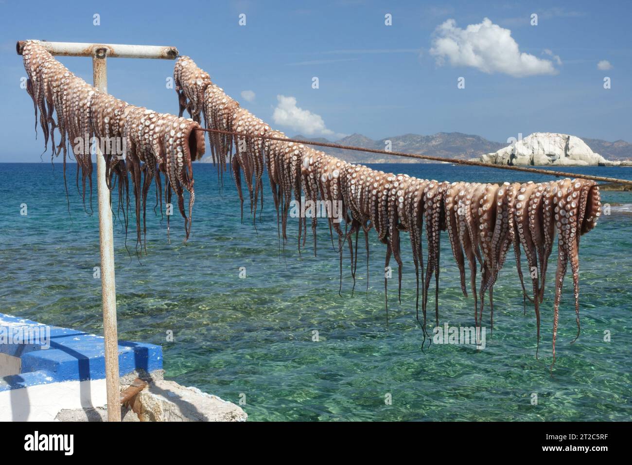 Octopus seafood in restaurant hi-res stock photography and images - Alamy