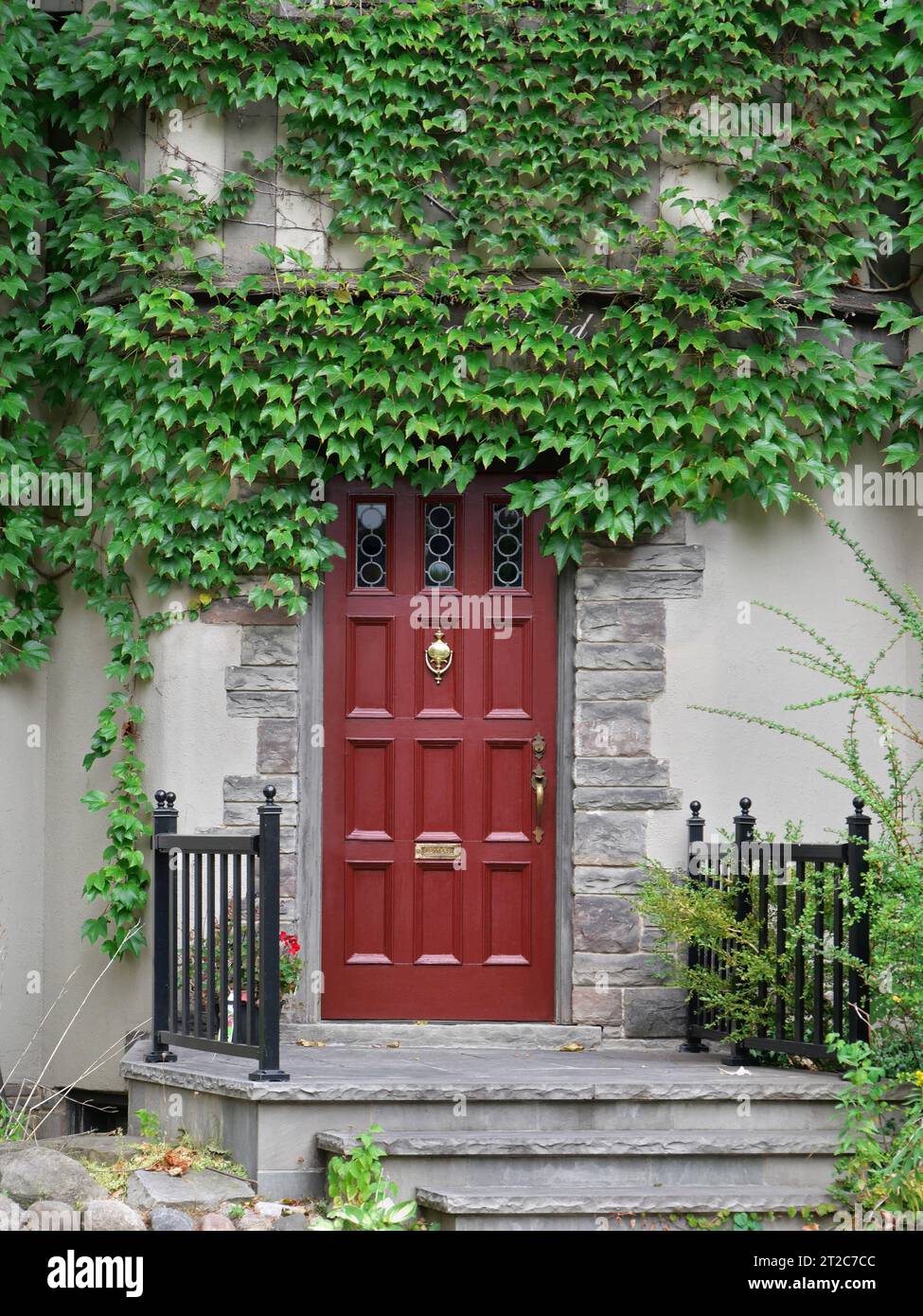 front door surrounded by ivy Stock Photo - Alamy