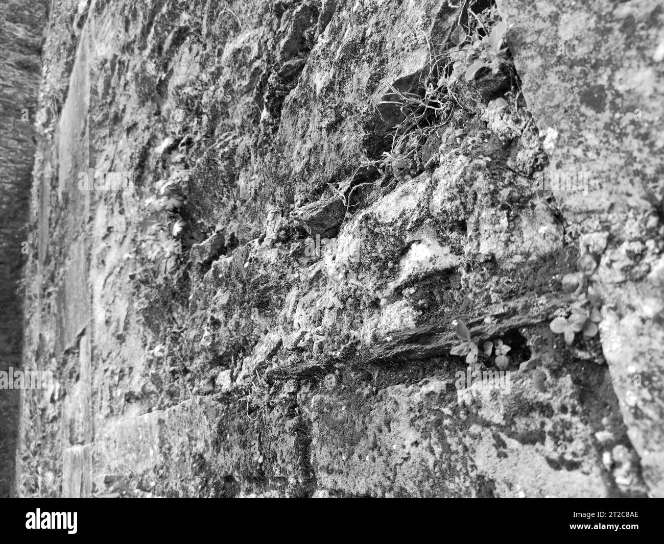 Walls of old celtic caves of a Blarney castle in Ireland, rocks and ...