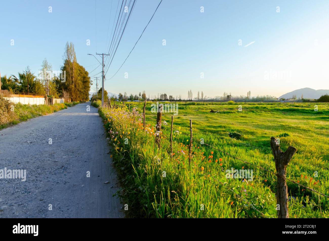 Rural landscapes at the golden hour. El Olivar, Rancagua, Chile Stock ...