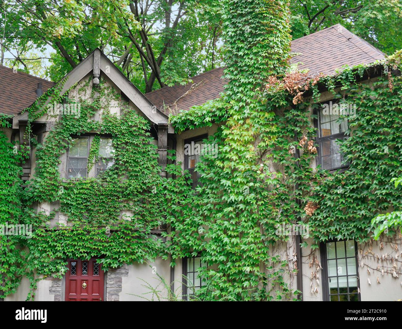 Old house covered vines hi-res stock photography and images - Alamy