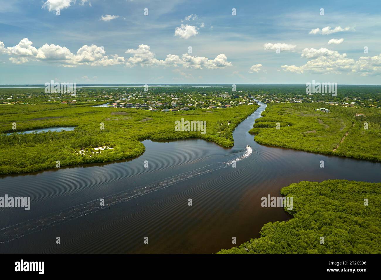 Aerial view of Florida wetlands with green vegetation between ocean ...
