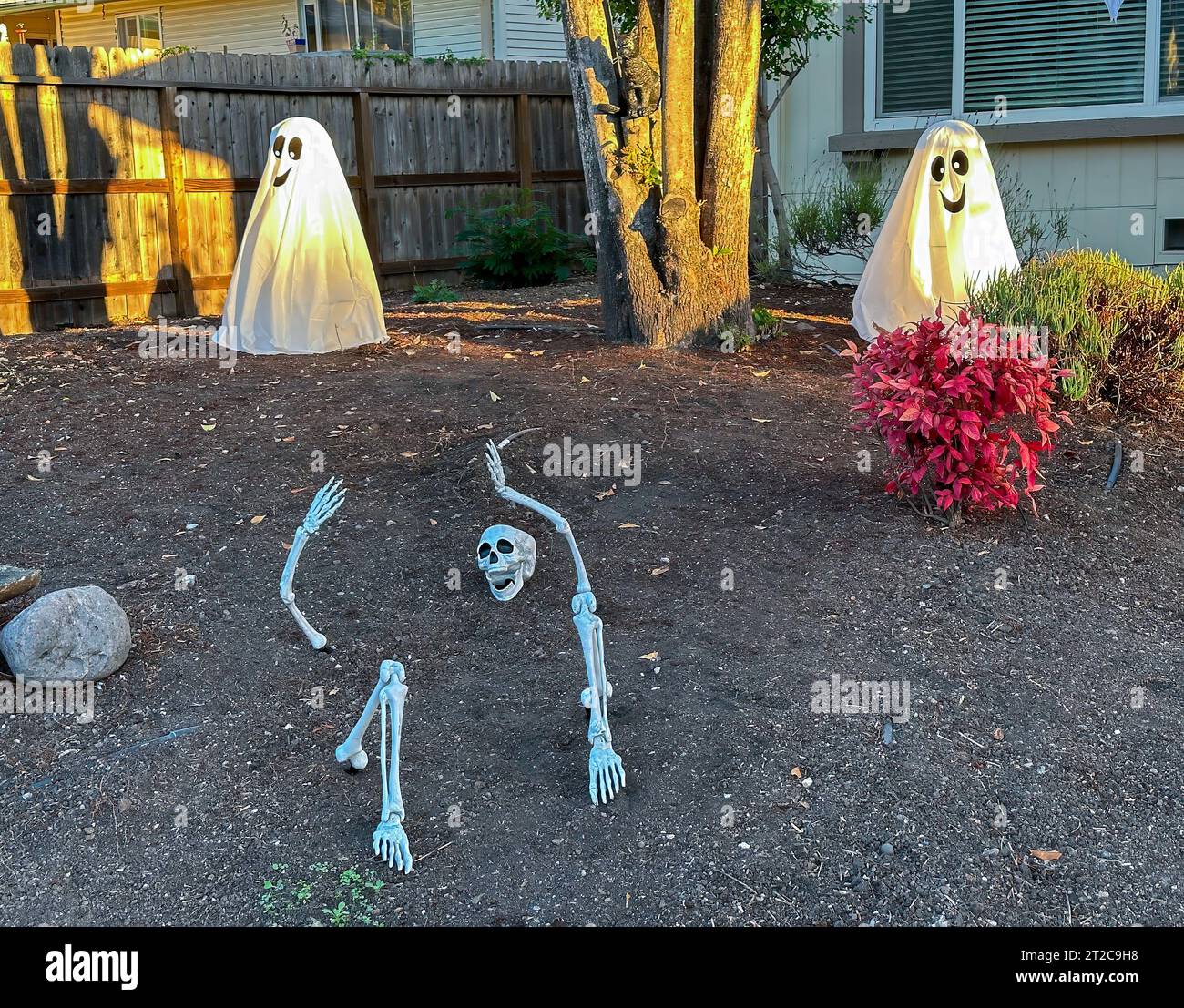Two ghosts and partly buried skeleton is in a front yard as Halloween ...