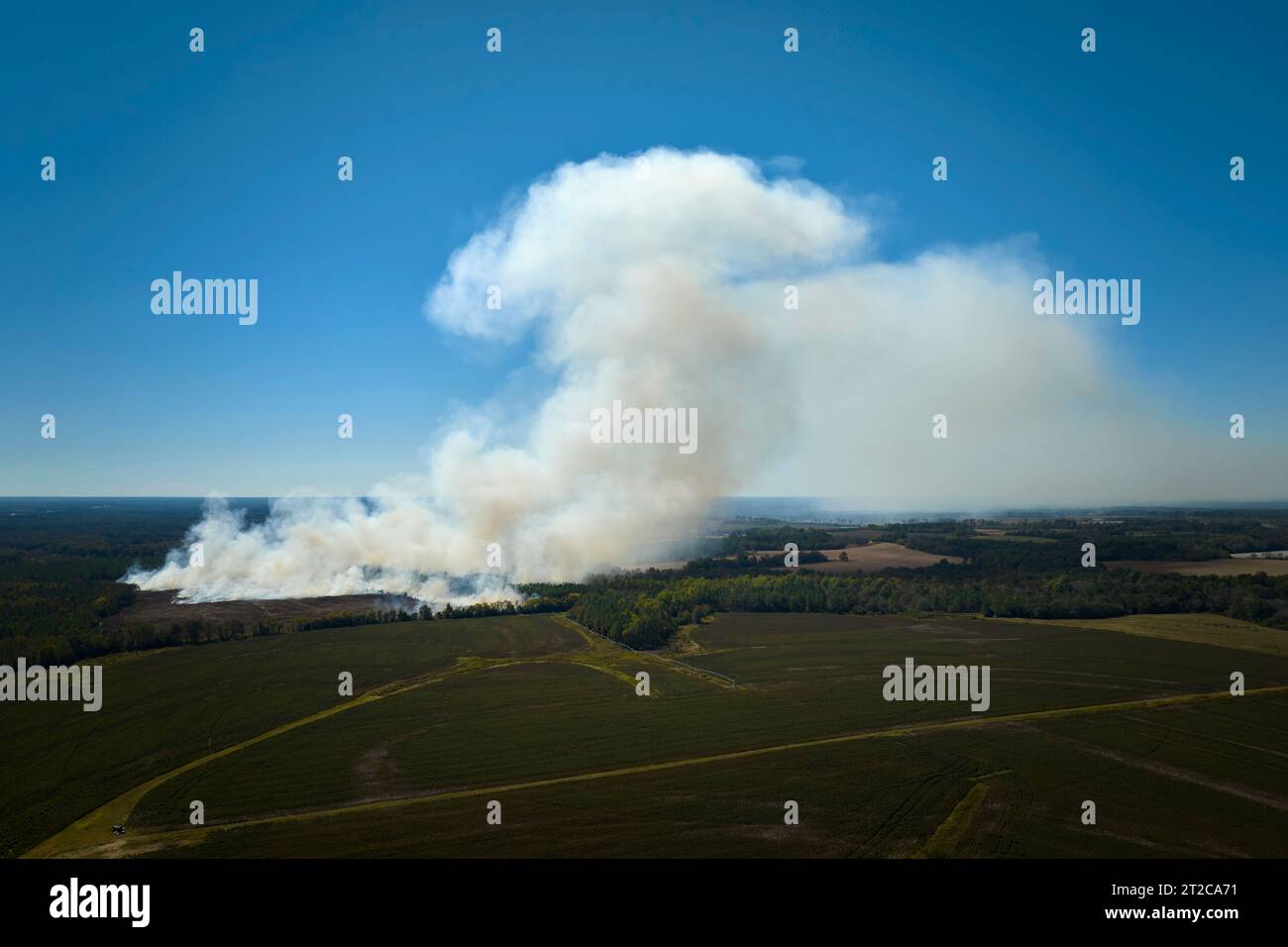 Aerial view of white smoke from forest fire rising up polluting ...