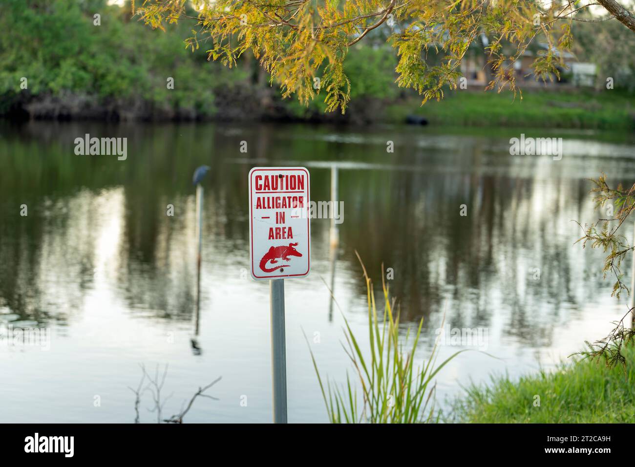 Alligator warning sign in Florida park about caution and safety during ...
