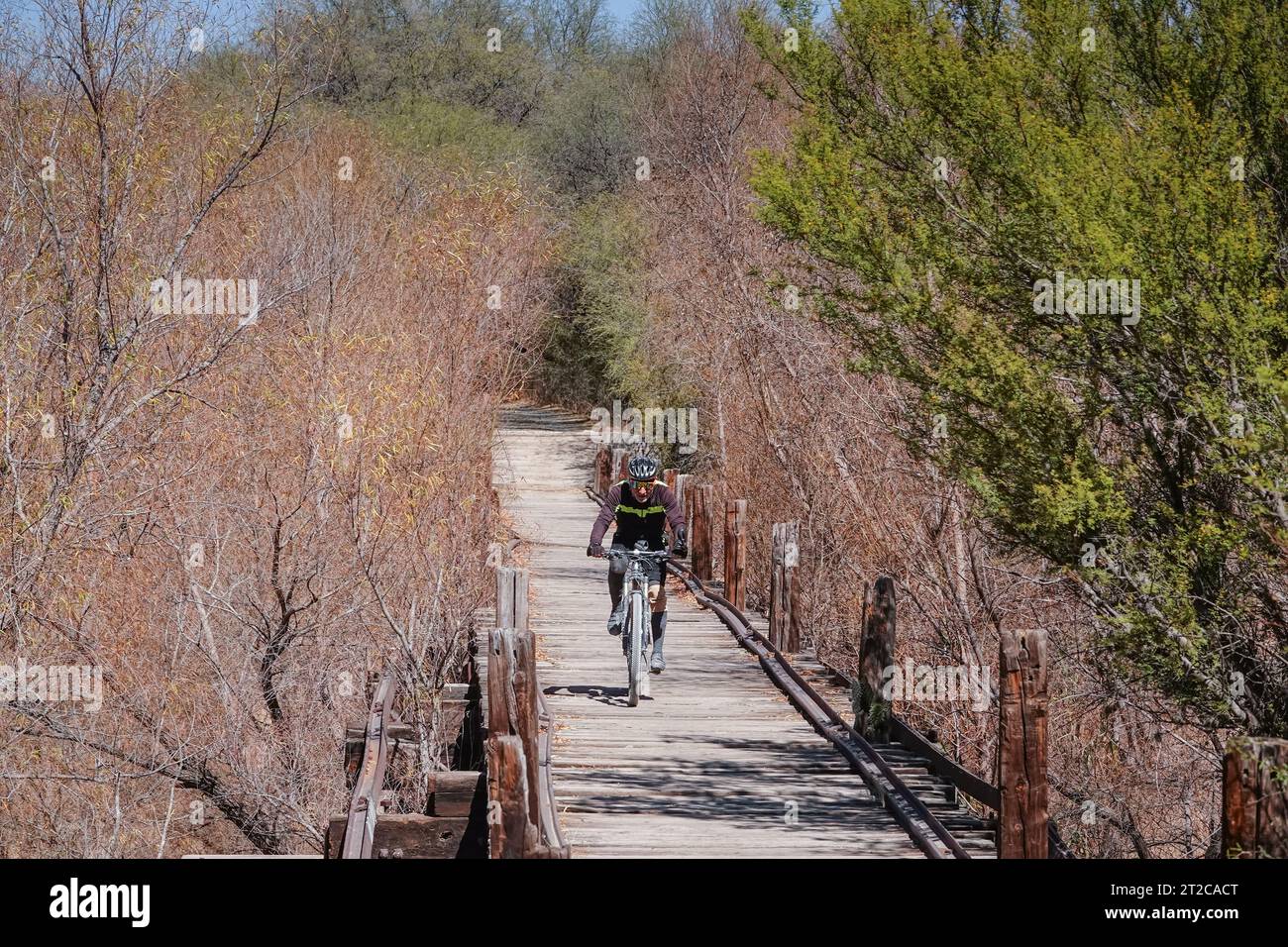 A cyclist rides down the former railroad tracks converted into a bike ...