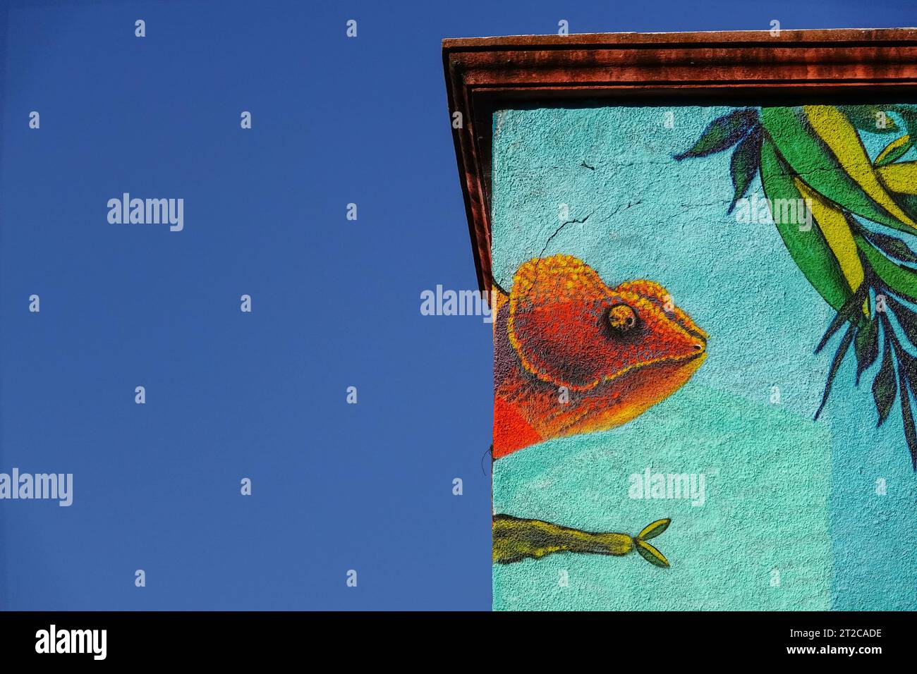 A colorful turquoise wall and mural of a chameleon lizard at the ...