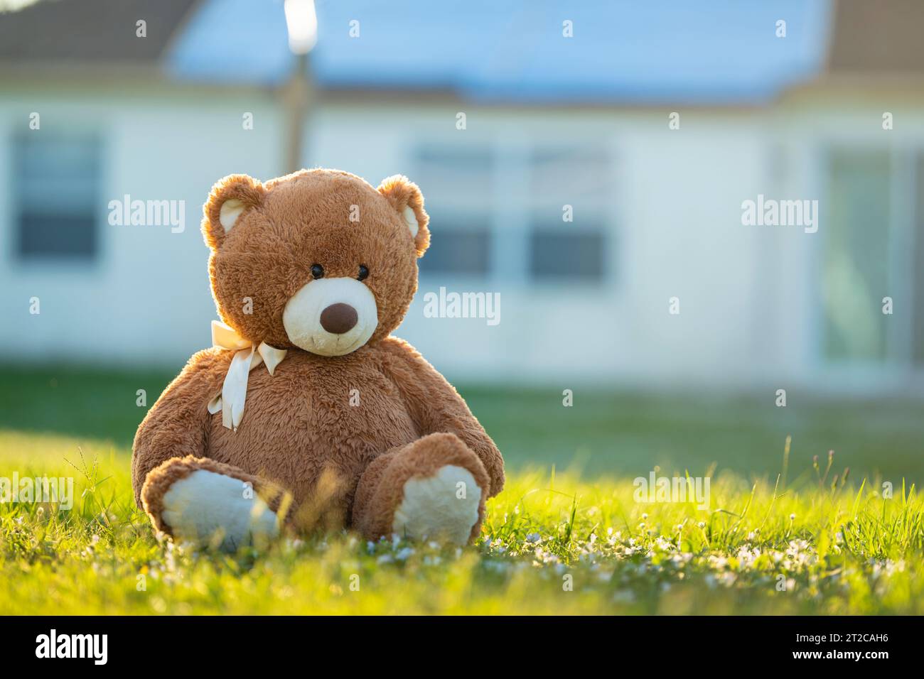 Big plush teddy bear sitting alone on green grass lawn in summer ...