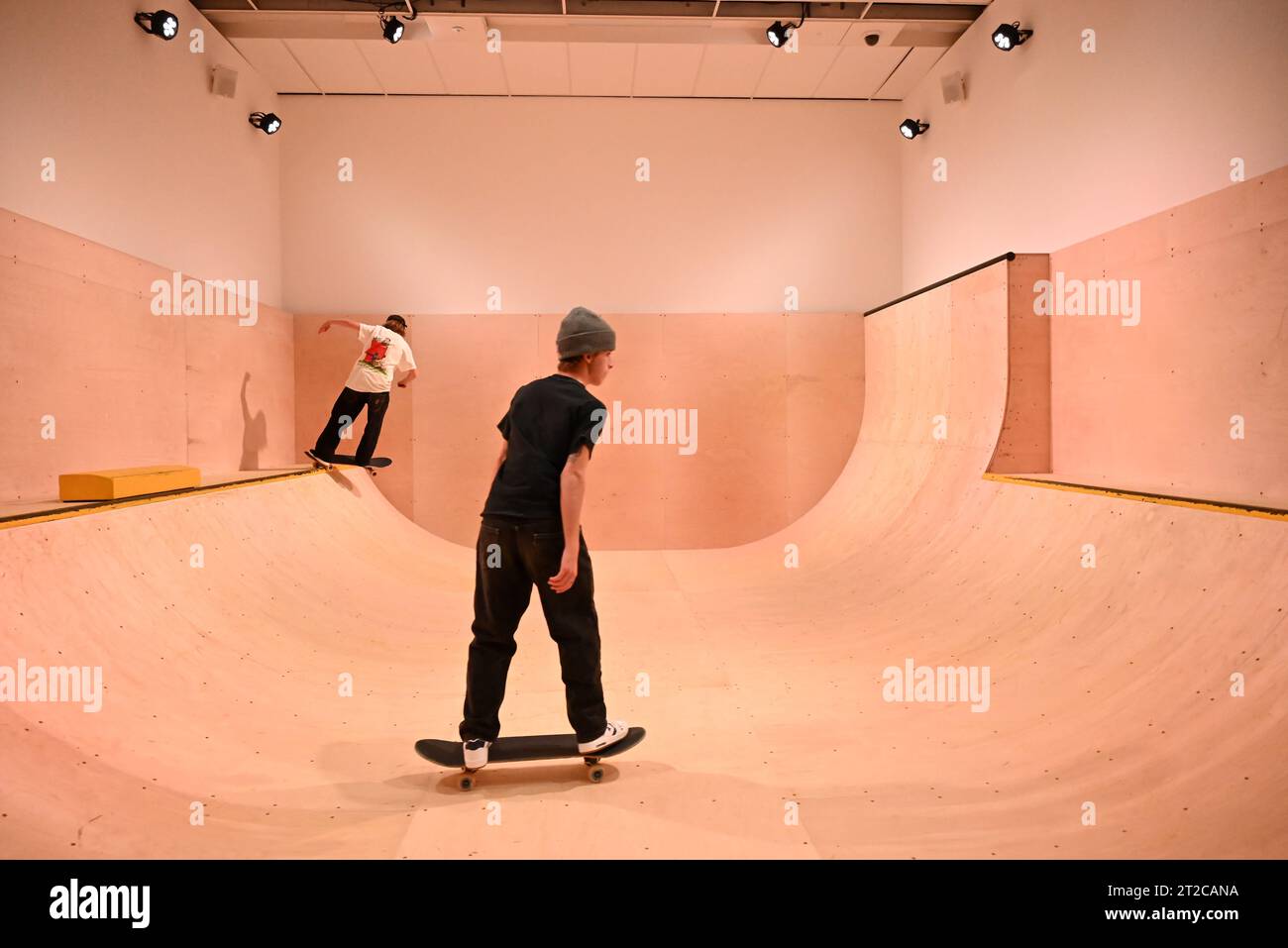 The exhibition will showcase innovative skateboards and components and ...