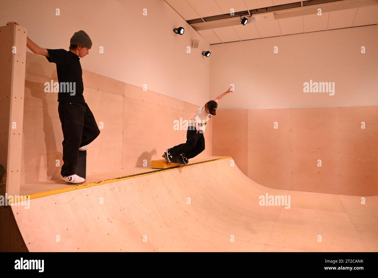 The exhibition will showcase innovative skateboards and components and ...
