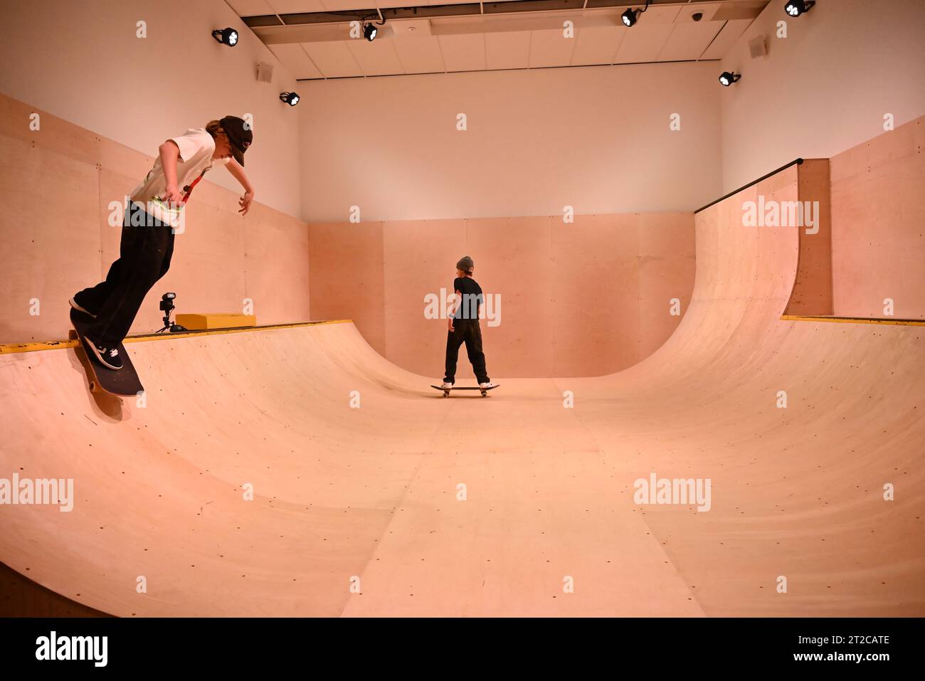 The exhibition will showcase innovative skateboards and components and ...