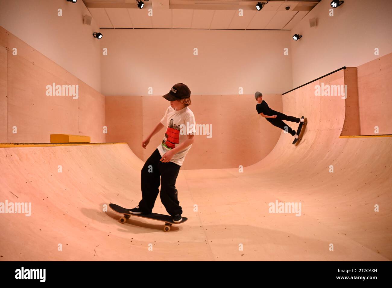 The exhibition will showcase innovative skateboards and components and ...