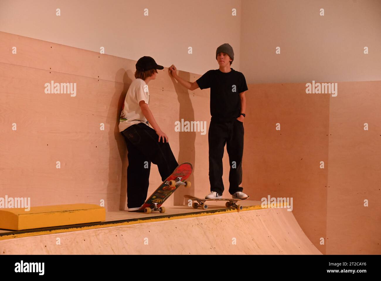 The exhibition will showcase innovative skateboards and components and ...