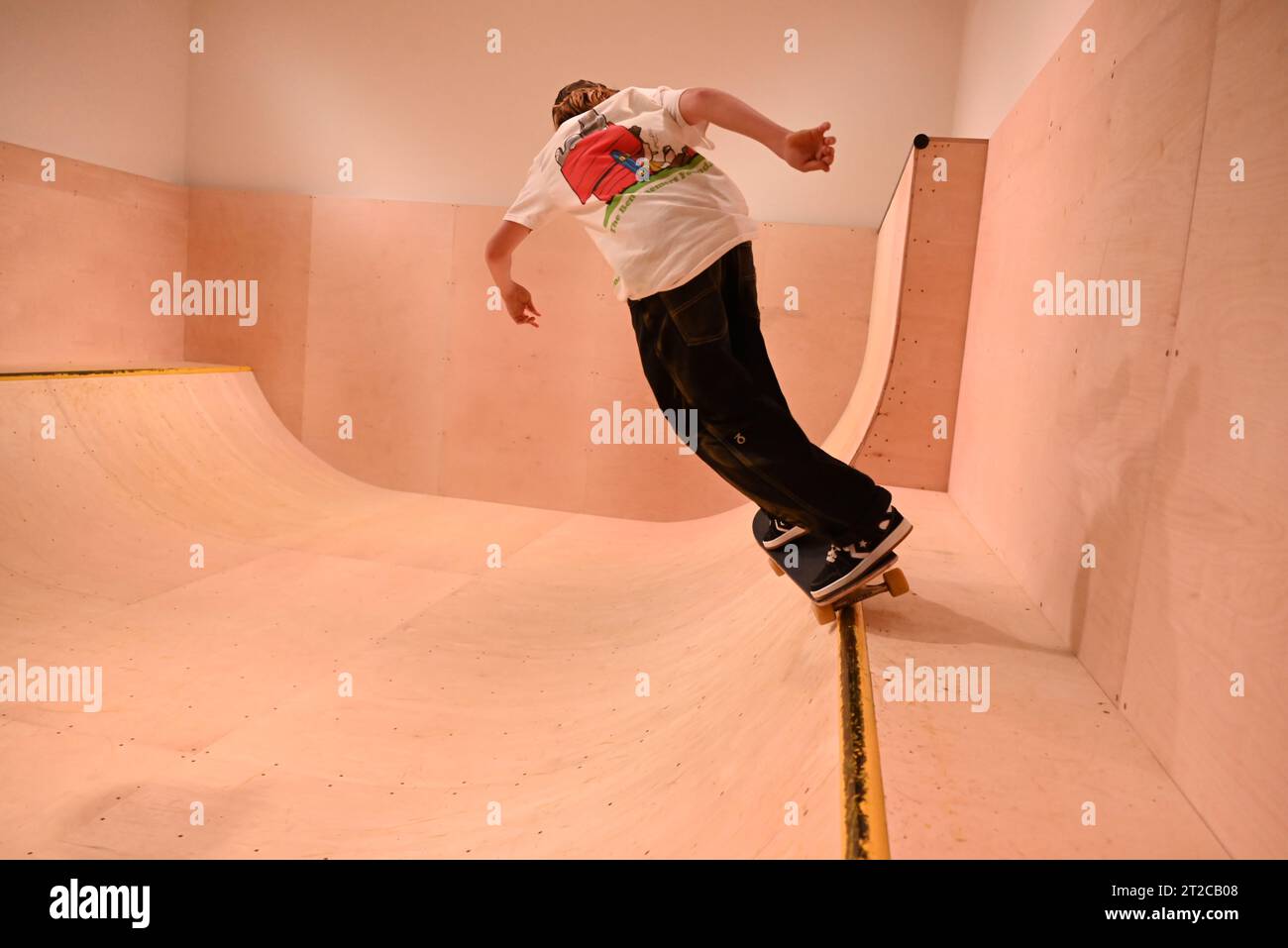 The exhibition will showcase innovative skateboards and components and ...