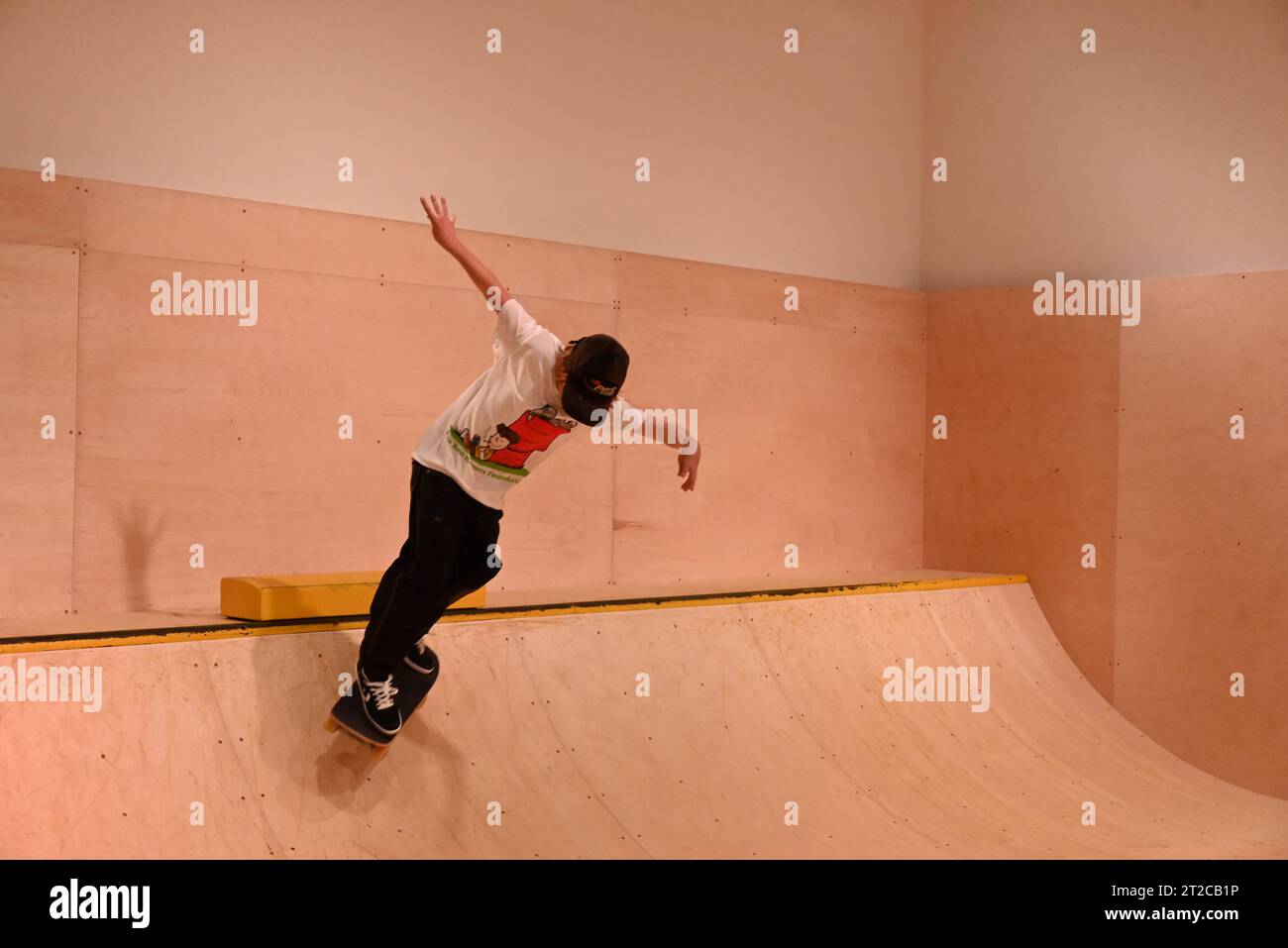 The exhibition will showcase innovative skateboards and components and ...