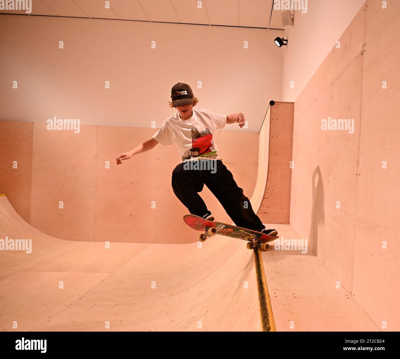 The exhibition will showcase innovative skateboards and components and ...