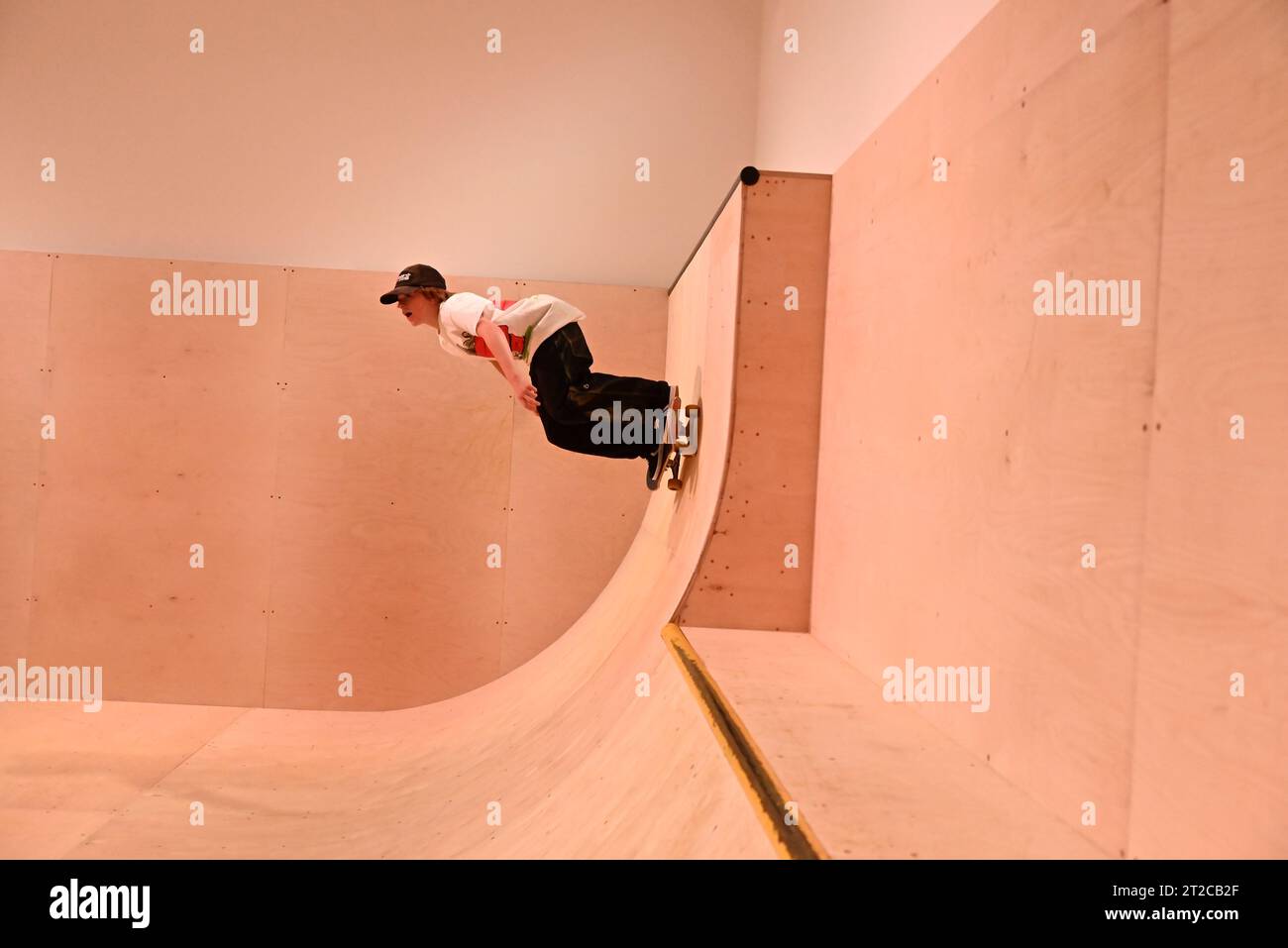 The exhibition will showcase innovative skateboards and components and ...