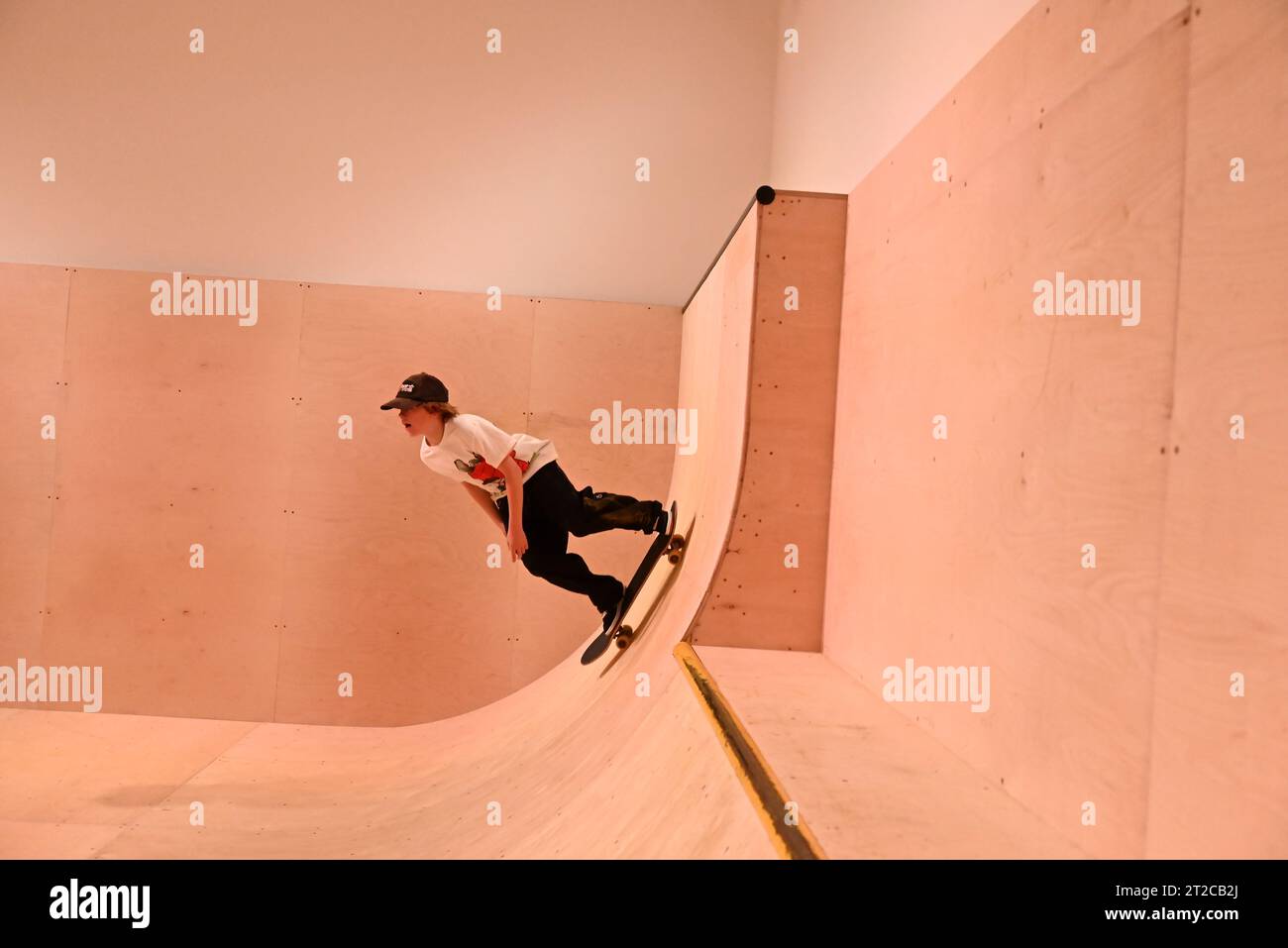 The exhibition will showcase innovative skateboards and components and ...