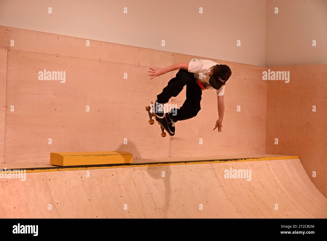 The exhibition will showcase innovative skateboards and components and ...