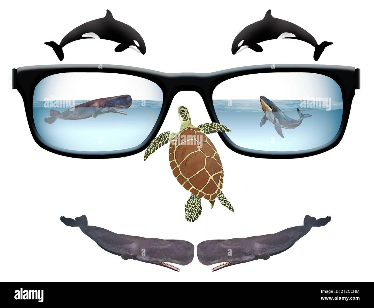 Here is a 3-d illustration about whale watching tourism and features ...
