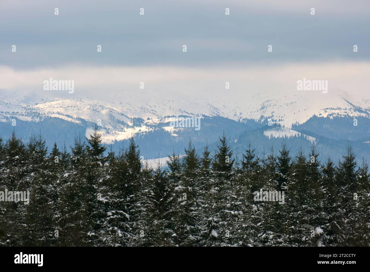 Cold ecosystem hi-res stock photography and images - Alamy