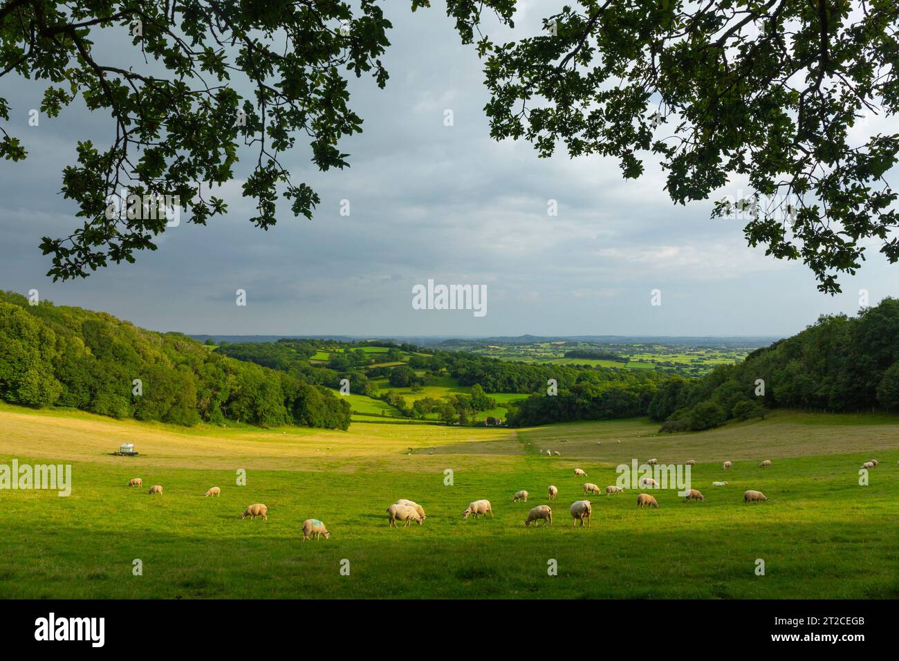 Landscape view of stormy skies and grassland, Draycott Sleights ...