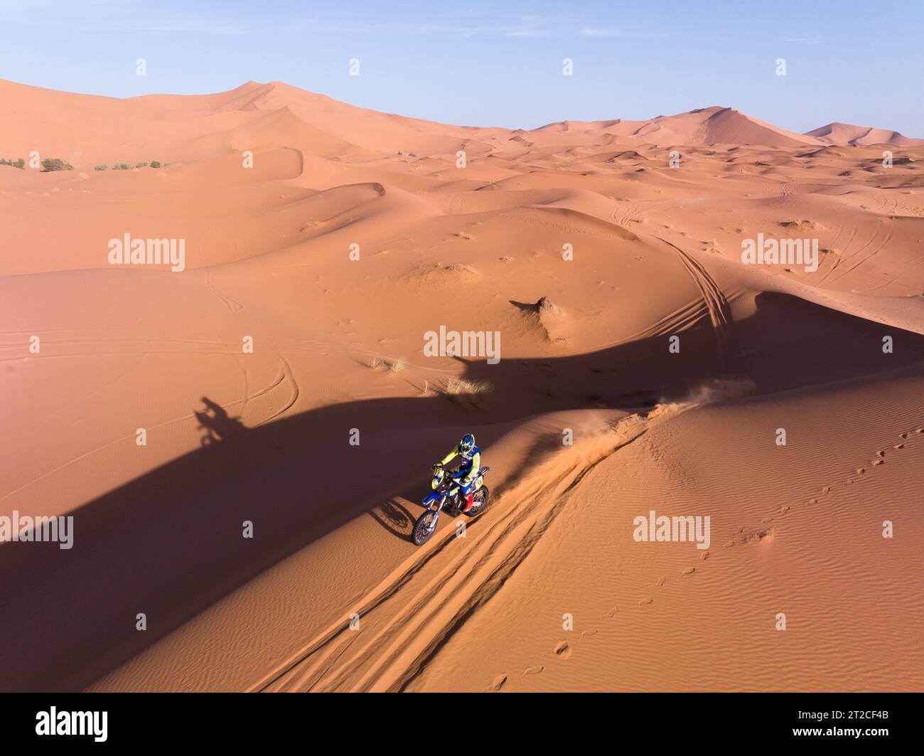 19 GONCALVERS Rui (prt), Team Sherco Factory, Sherco 450 Rally, action ...