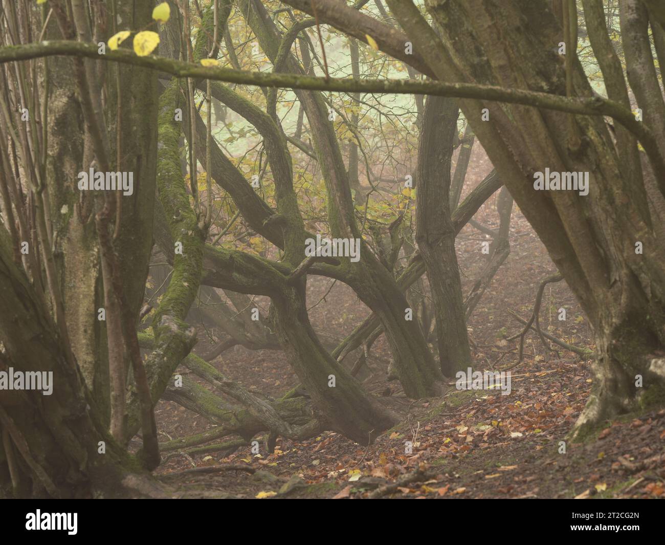 Aldon hi-res stock photography and images - Alamy
