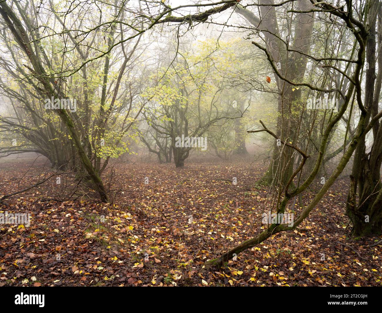 Aldon gutter hi-res stock photography and images - Alamy