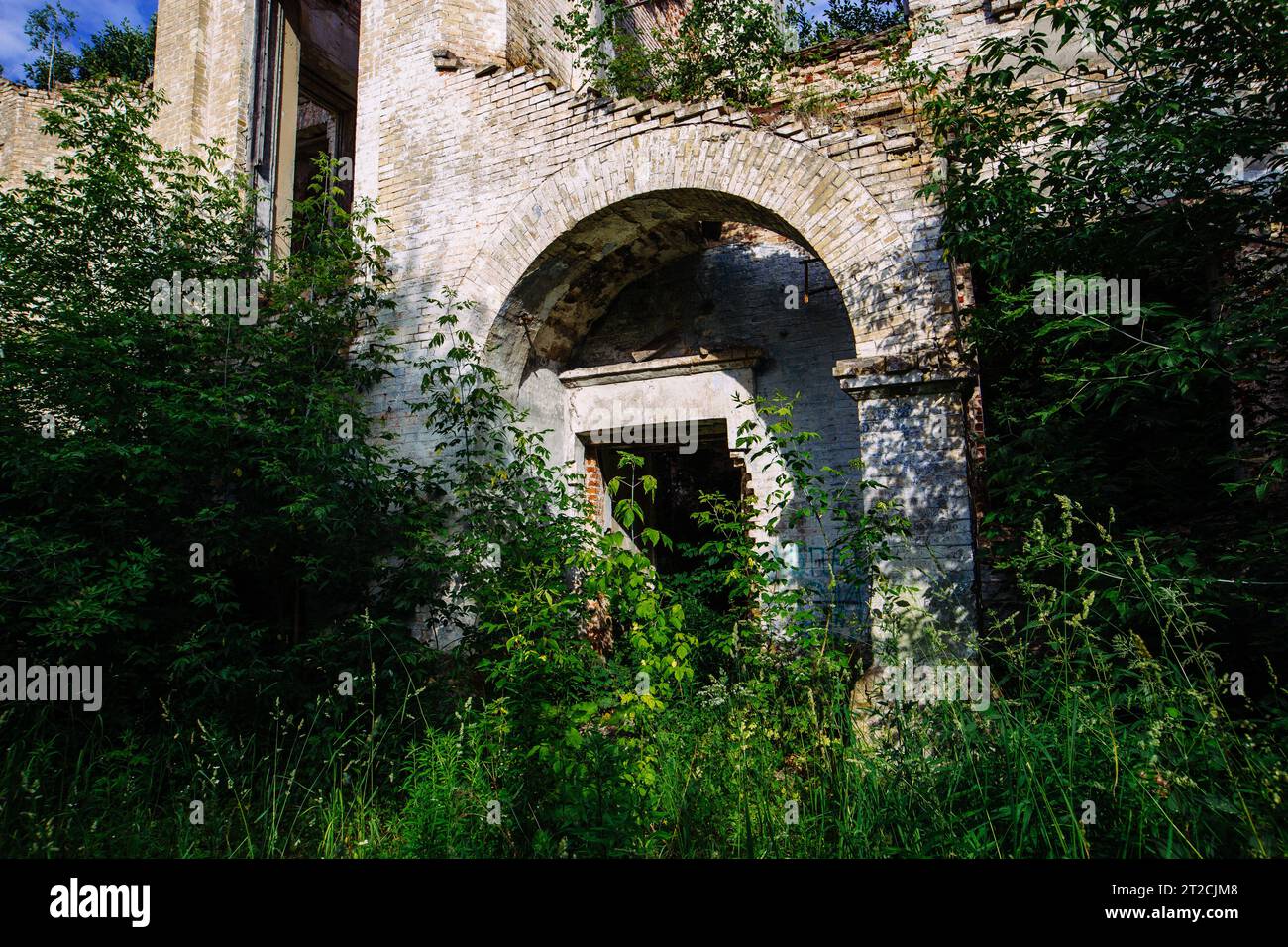 Old ruins of historical building overgrown by vegetation green post ...
