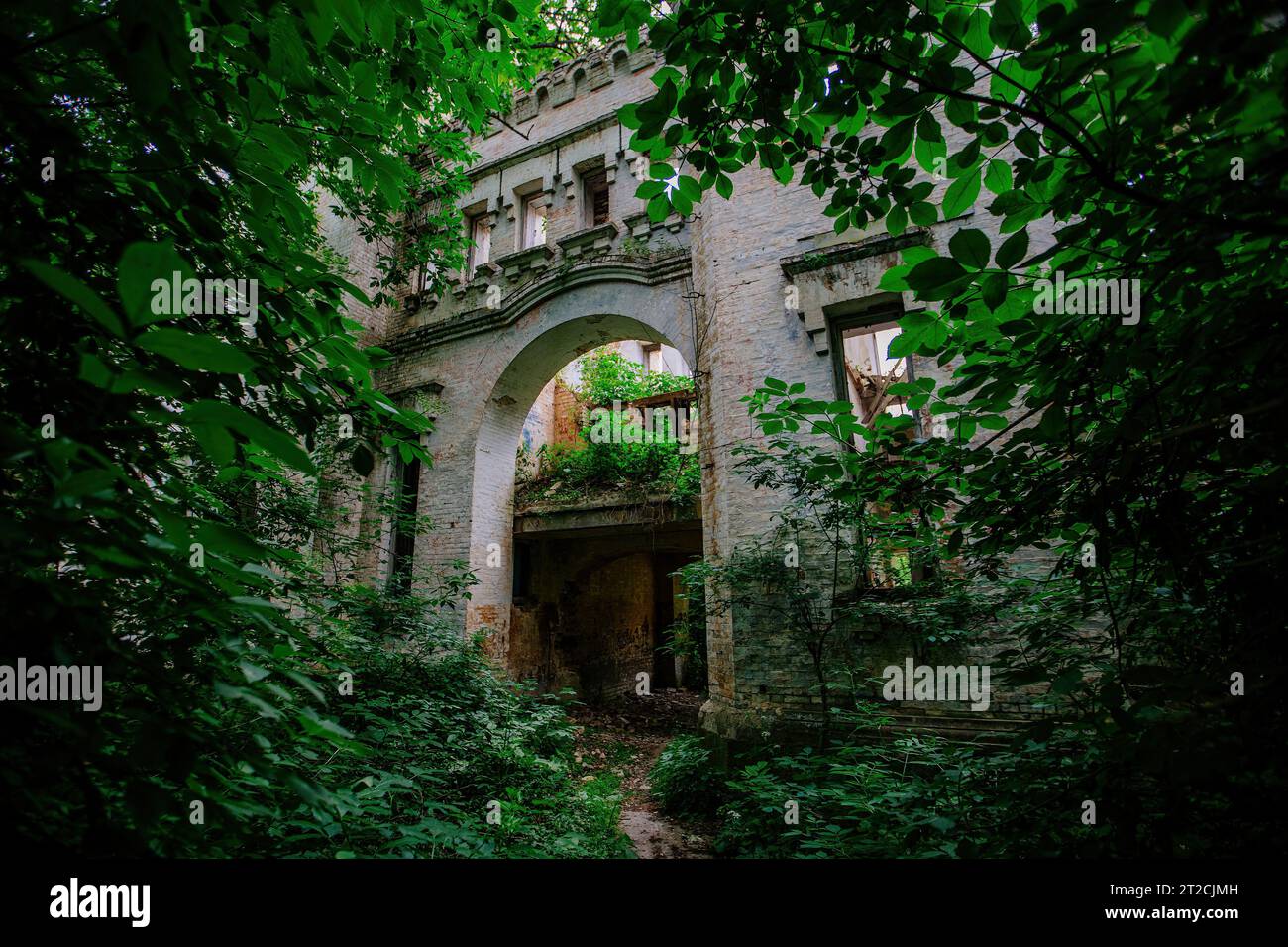 Old ruins of historical building overgrown by vegetation green post ...