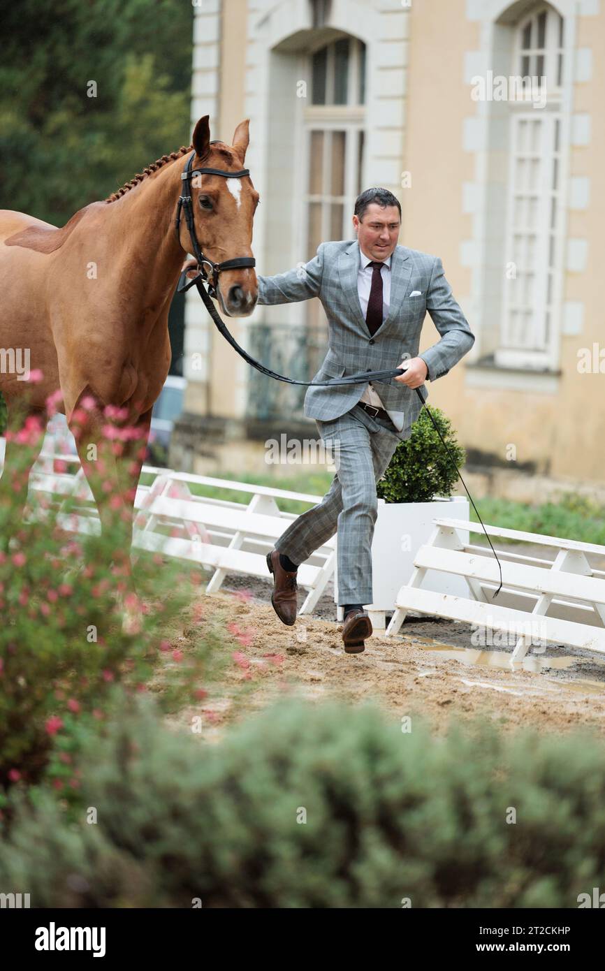 Timothy CHEFFINGS of Great Britain with Creevaghstables Ificudiwud ...