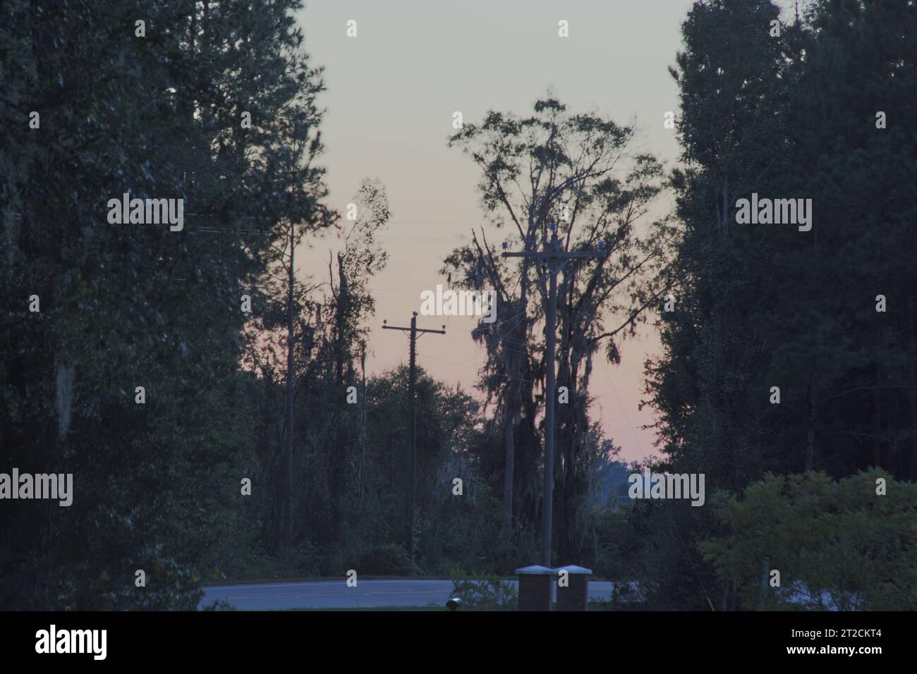 Electric poles along roadway hi-res stock photography and images - Alamy