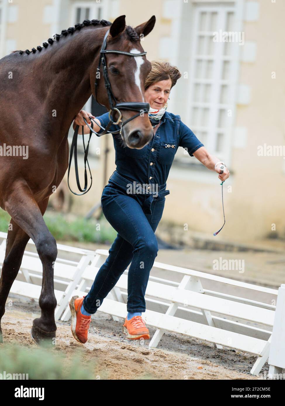 Willemina VAN DER GOES-PETTER of Netherlands with Lancelot during the ...