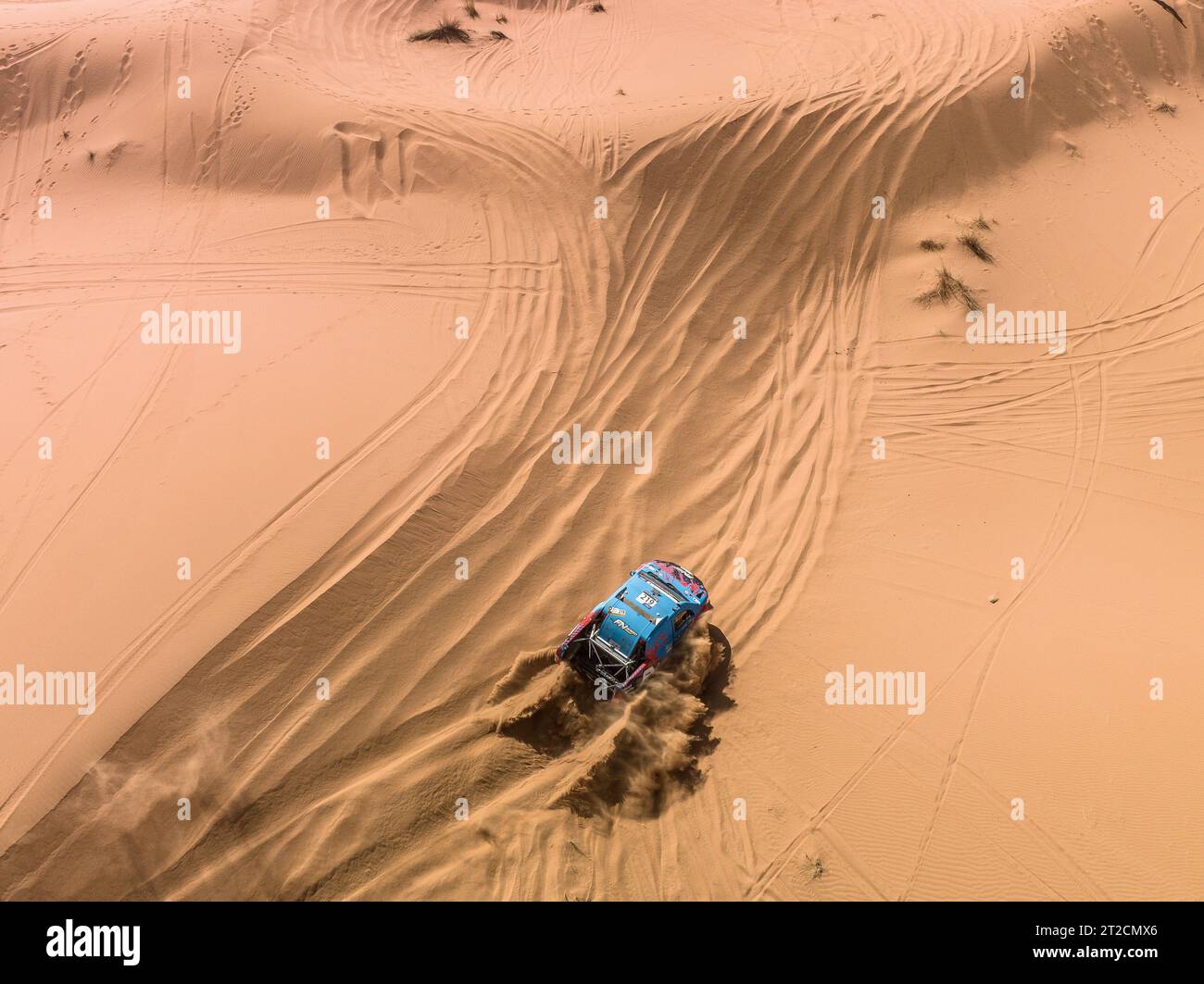 219 NAVARRO Pau (spa), REIS Gonzalo (prt), FN Speed Team, Toyota Hilux ...