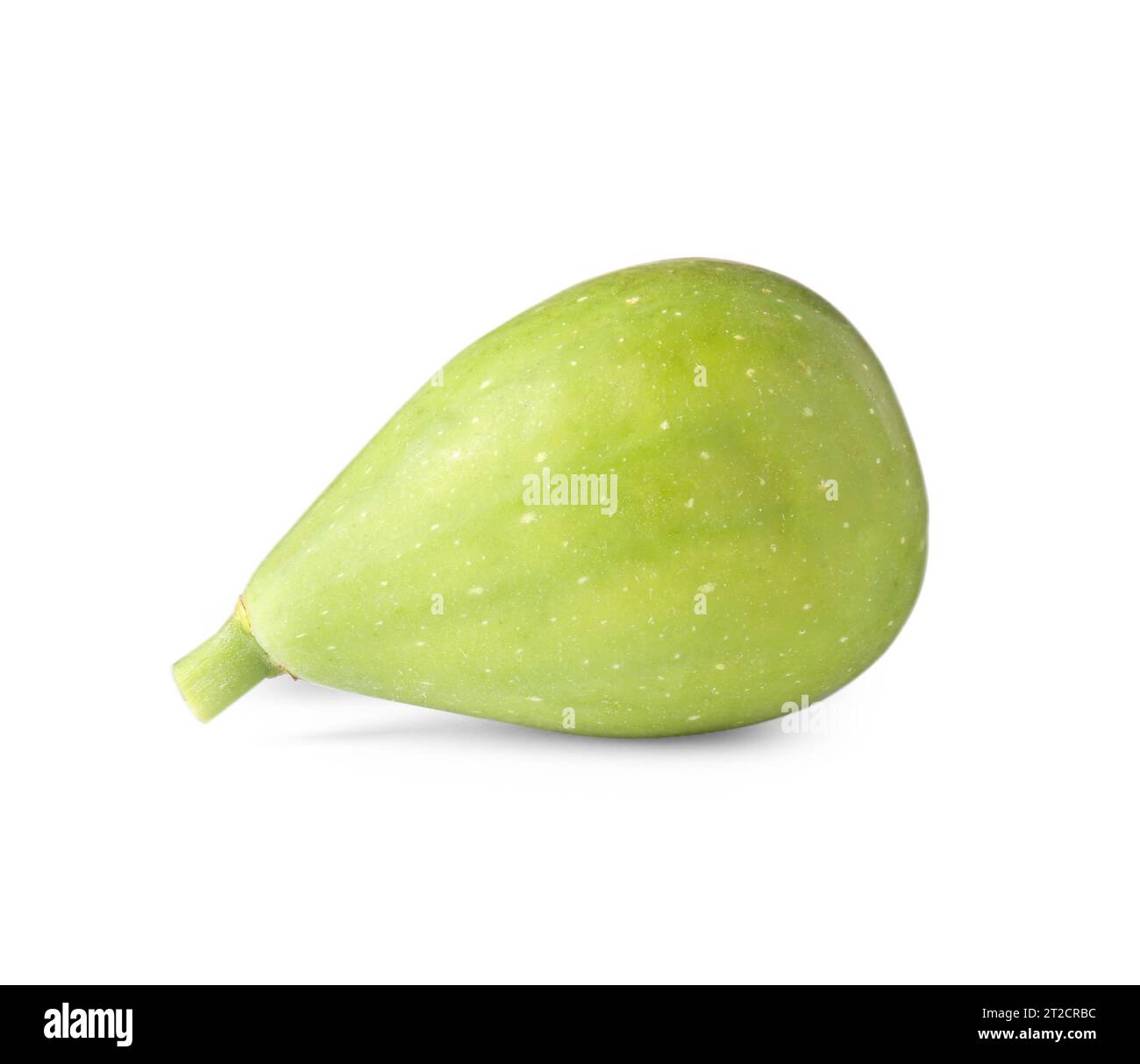 One fresh green fig hi-res stock photography and images - Alamy
