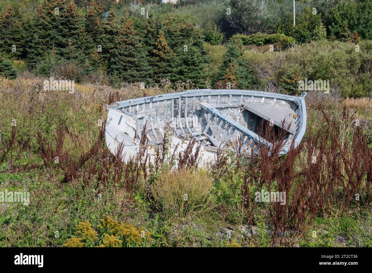 Old derelict wooden boat abandoned at Lance Cove on Bell Island ...