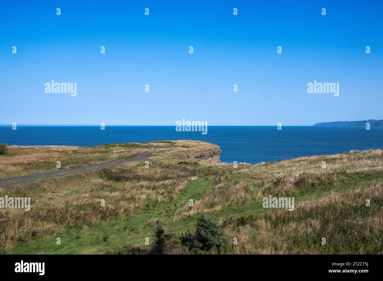 Conception island in hi-res stock photography and images - Alamy