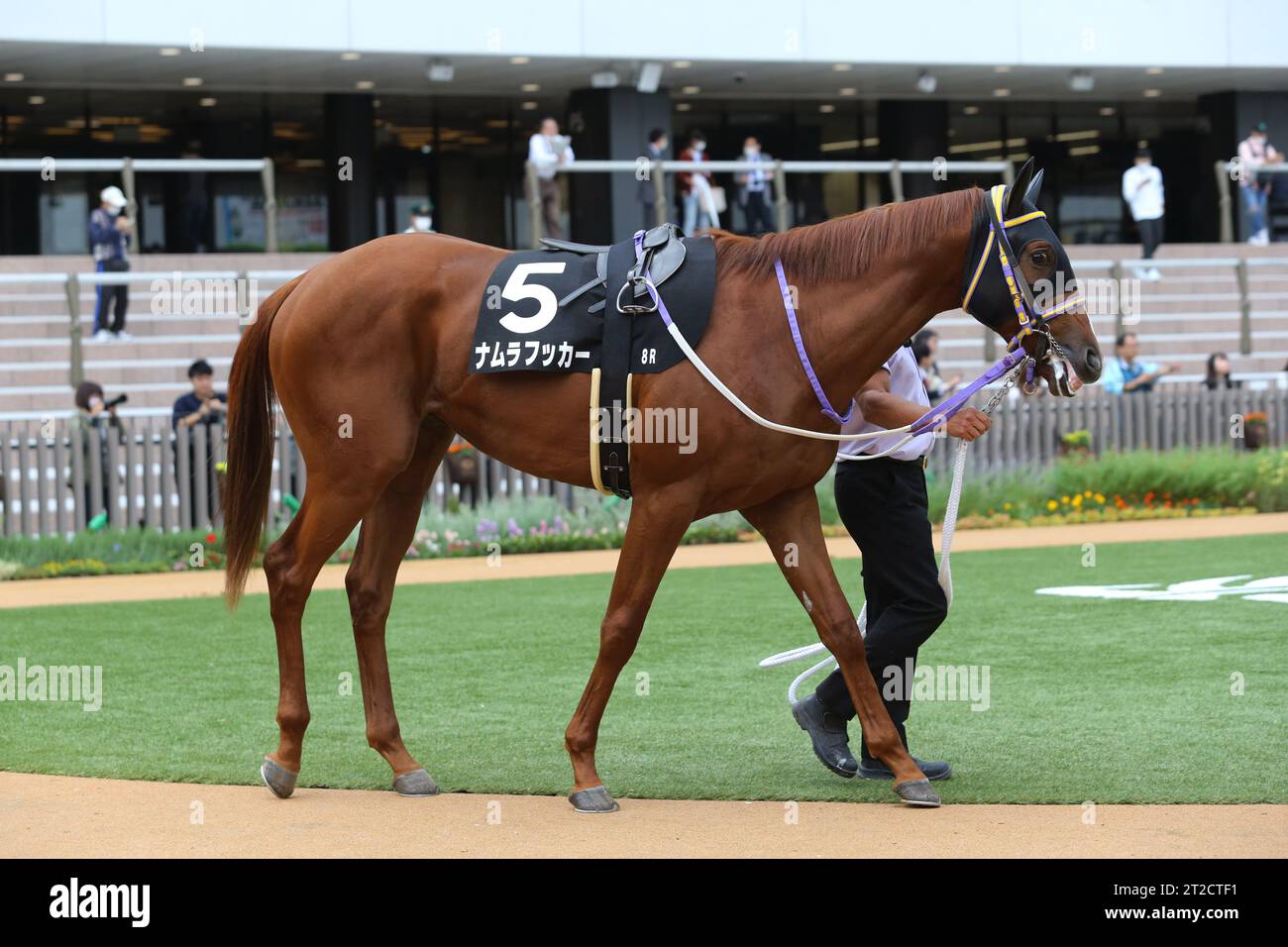 Kyoto, Japan. 14th Oct, 2023. 2023/10/14 KYOTO 08R SHIGIKU SHO Namura ...