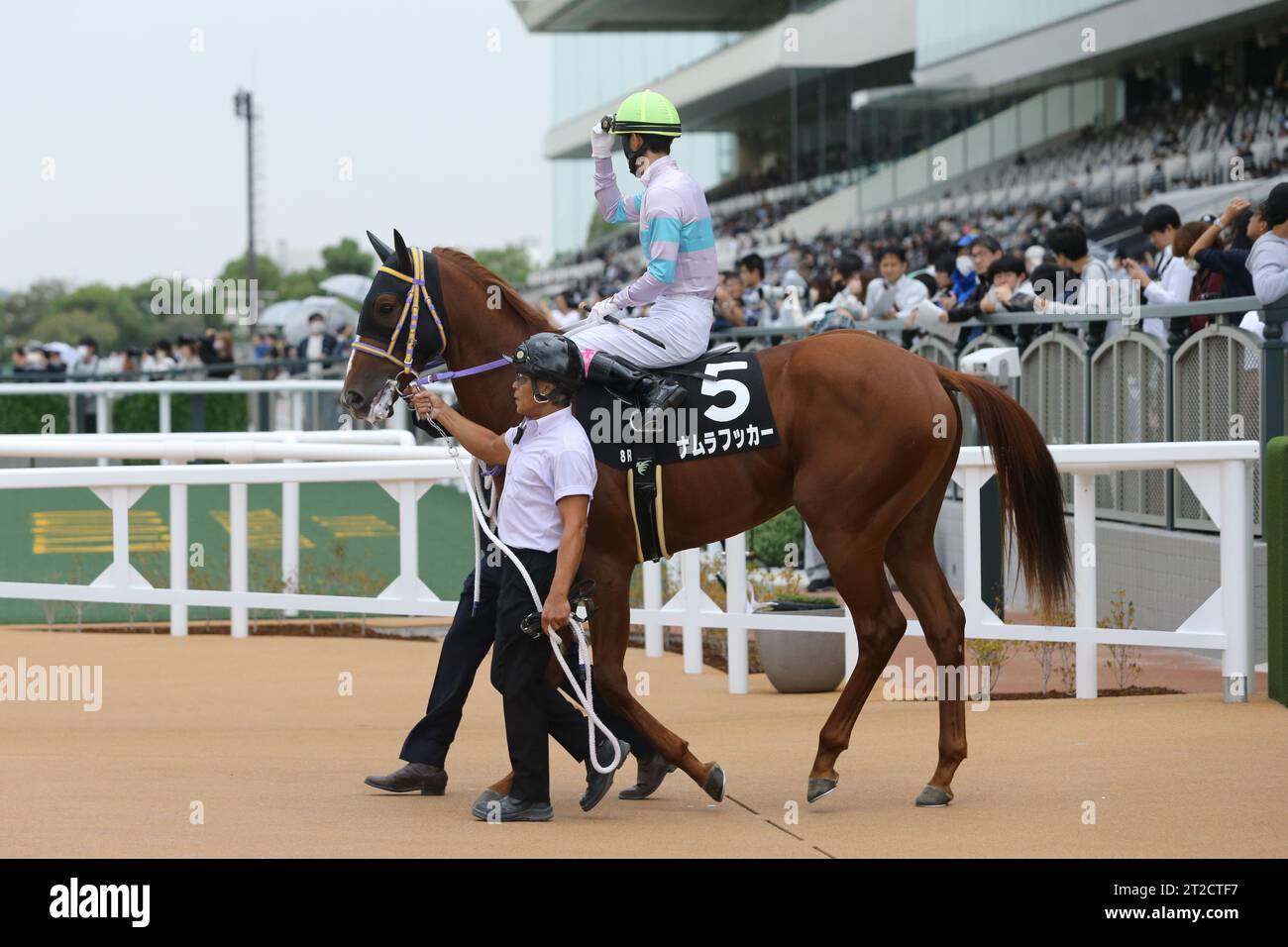 Kyoto, Japan. 14th Oct, 2023. 2023/10/14 KYOTO 08R SHIGIKU SHO Namura ...