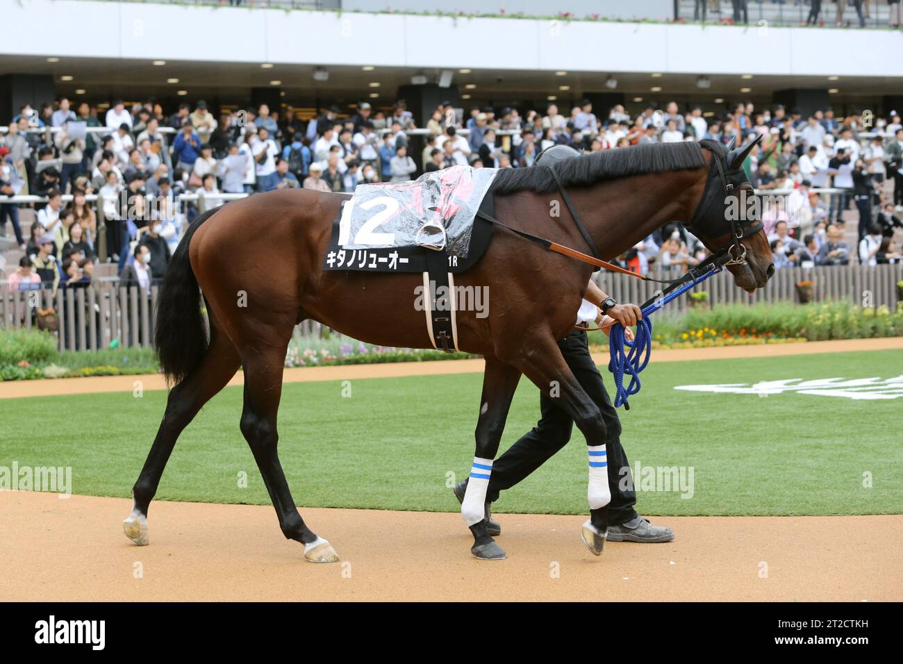 Kyoto, Japan. 14th Oct, 2023. 2023/10/14 KYOTO 11R UZUMASA STAKES ...