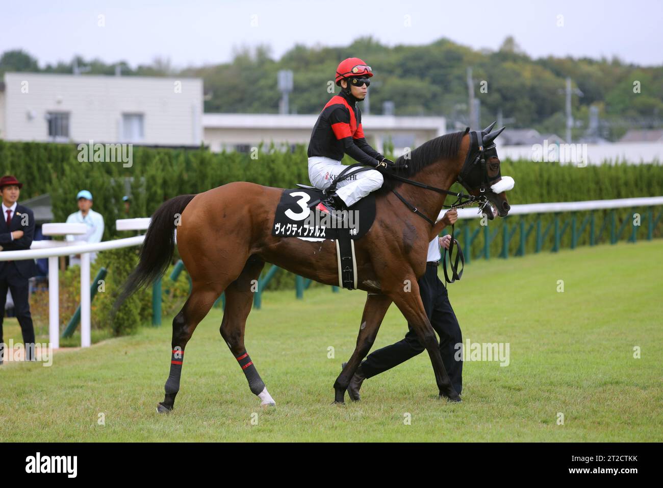 Kyoto, Japan. 14th Oct, 2023. 2023/10/14 KYOTO 11R UZUMASA STAKES ...