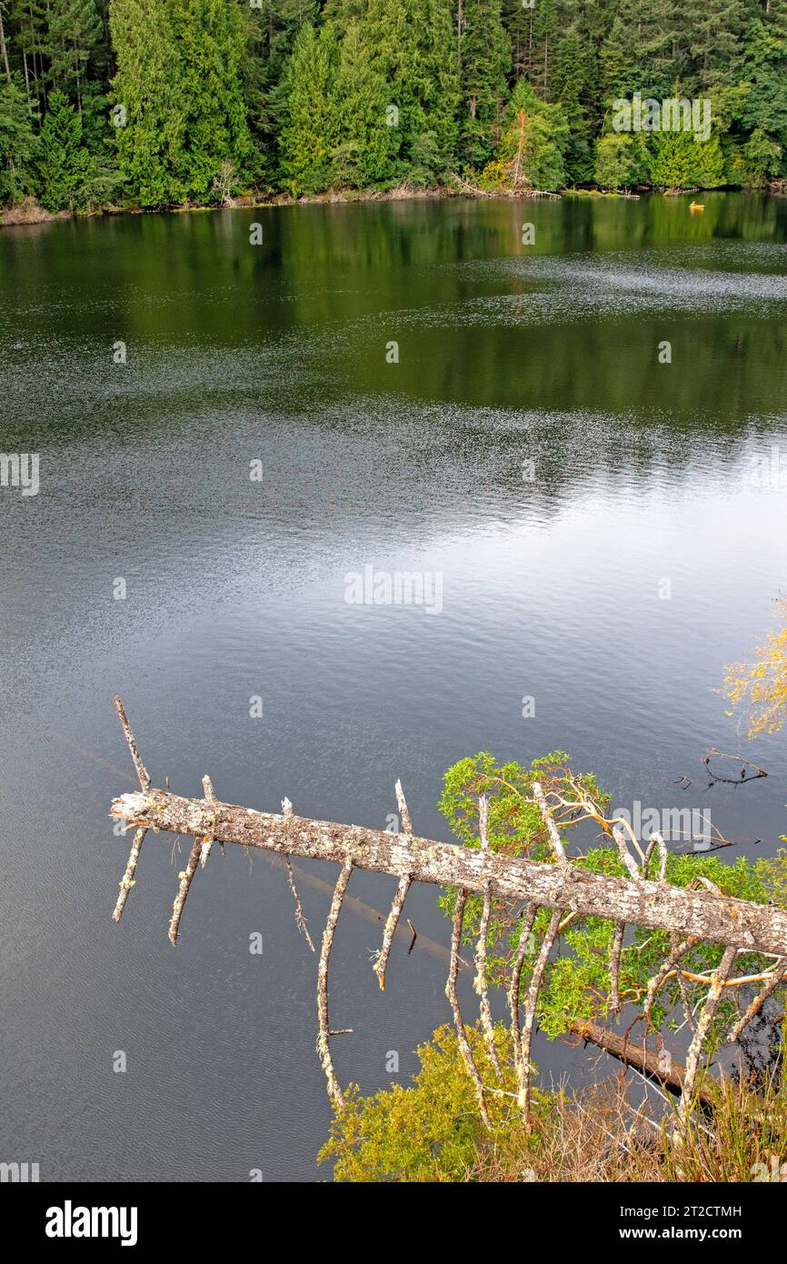 Matheson lake regional park hi-res stock photography and images - Alamy