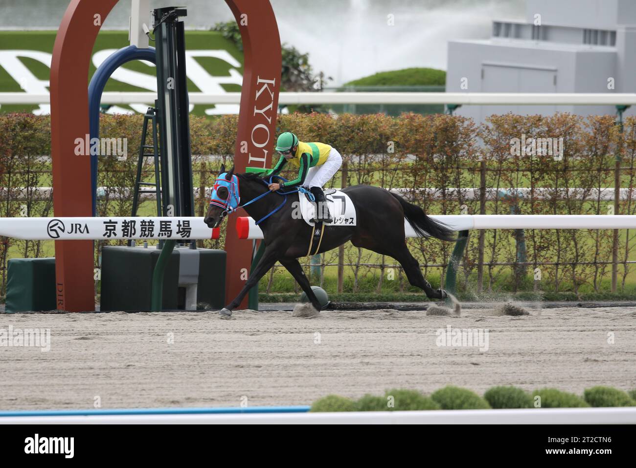Kyoto, Japan. 14th Oct, 2023. 2023/10/14 KYOTO 01R Dre Cious/Kanta ...