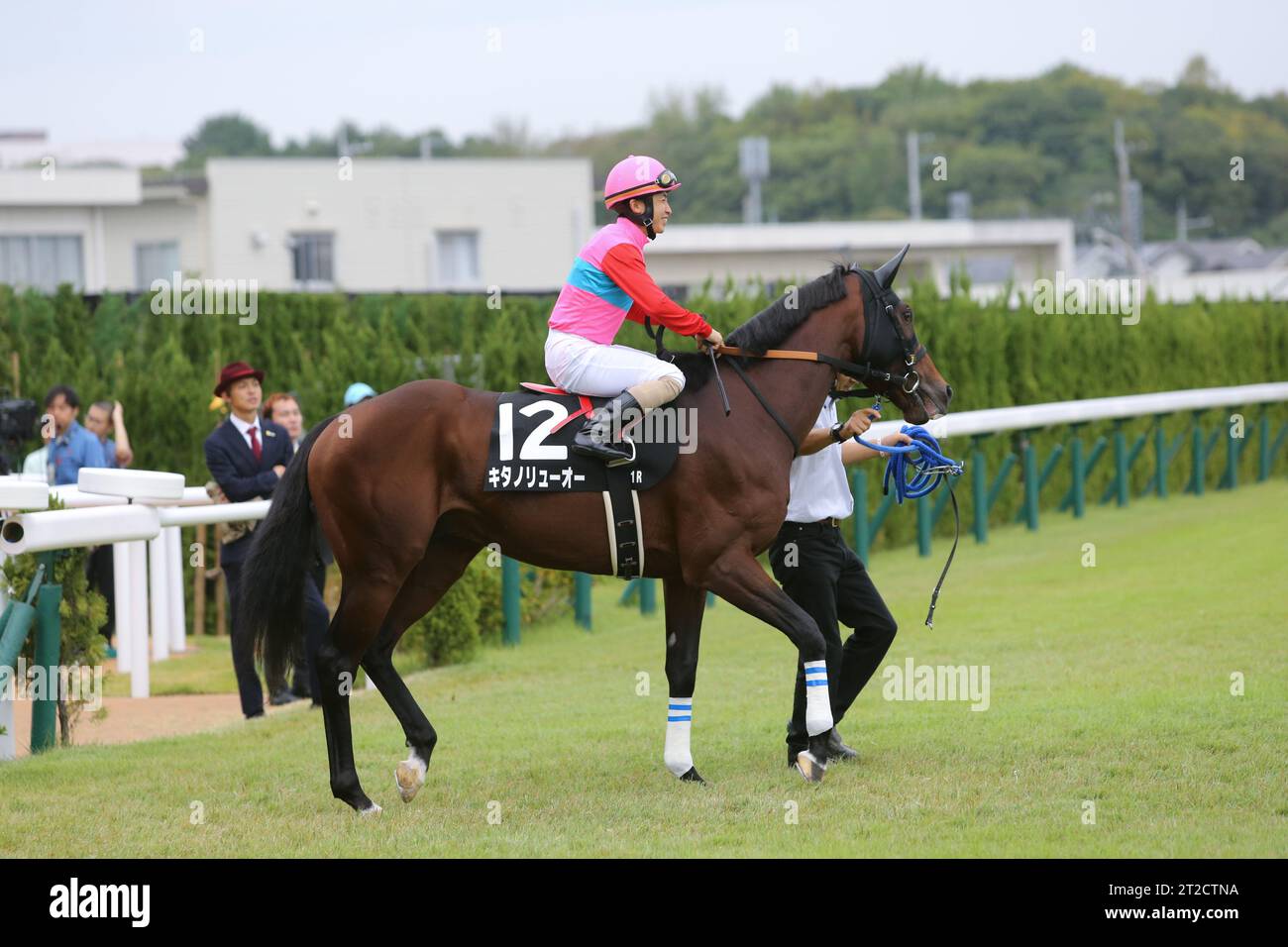 Kyoto, Japan. 14th Oct, 2023. 2023/10/14 KYOTO 11R UZUMASA STAKES ...