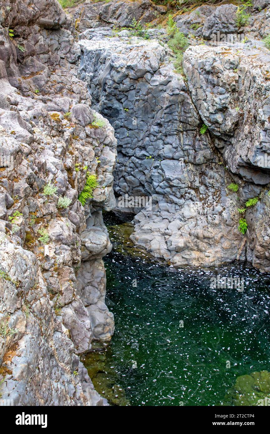 Pool in Sooke Potholes Regional Park Stock Photo - Alamy