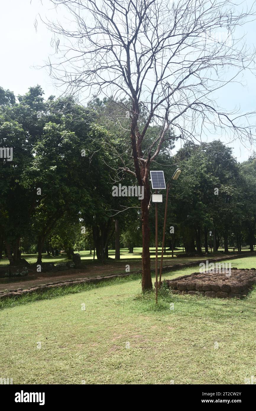 Solar panel tree hi-res stock photography and images - Alamy