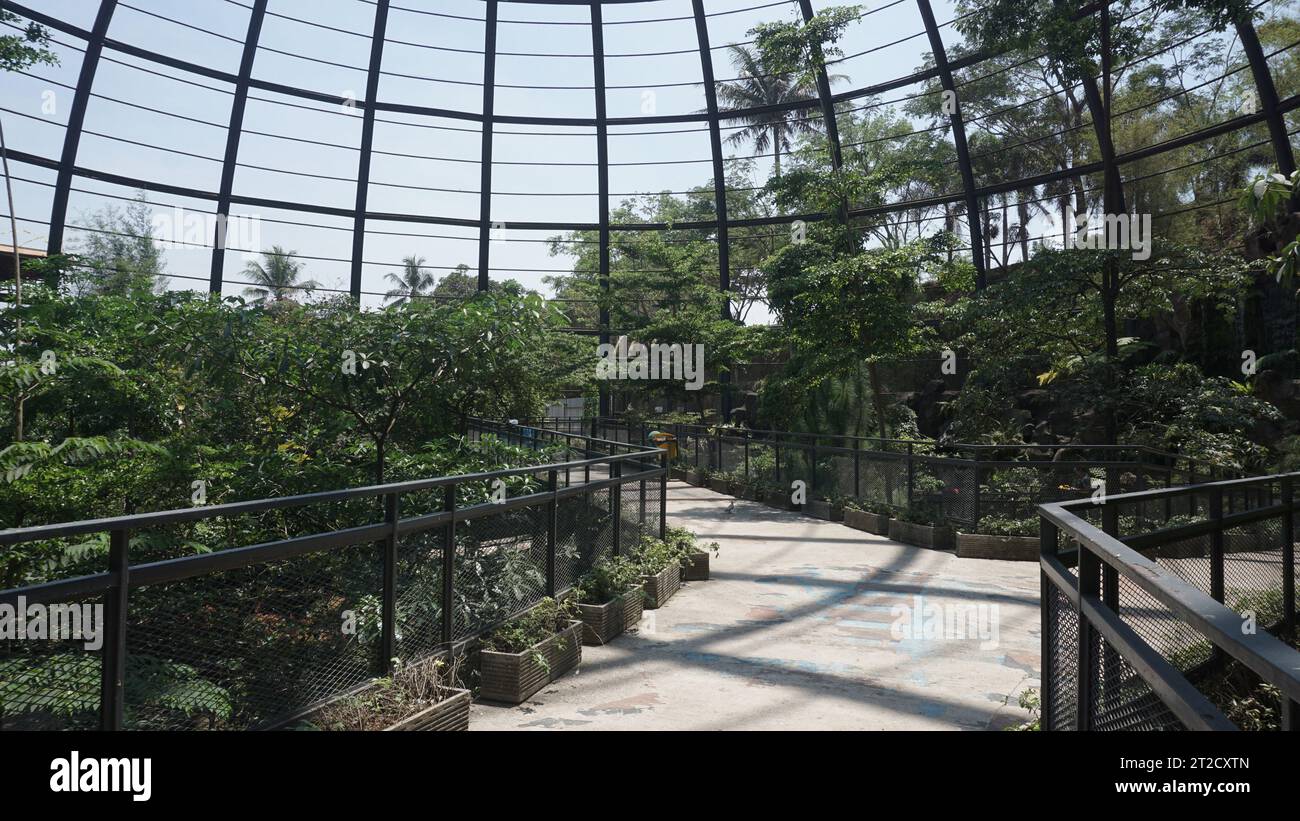 view inside a large aviary dome and botanical garden with curved steel ...