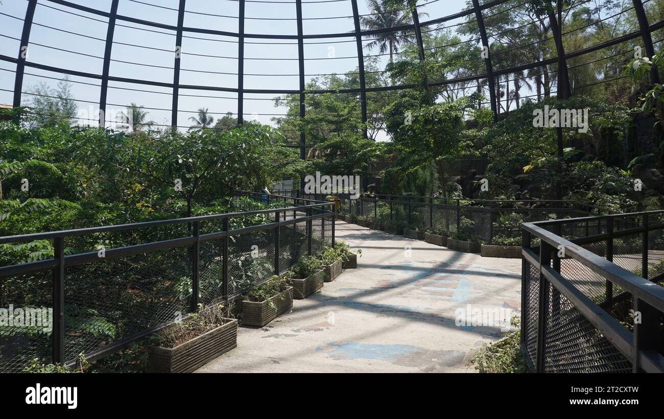 view inside a large aviary dome and botanical garden with curved steel ...